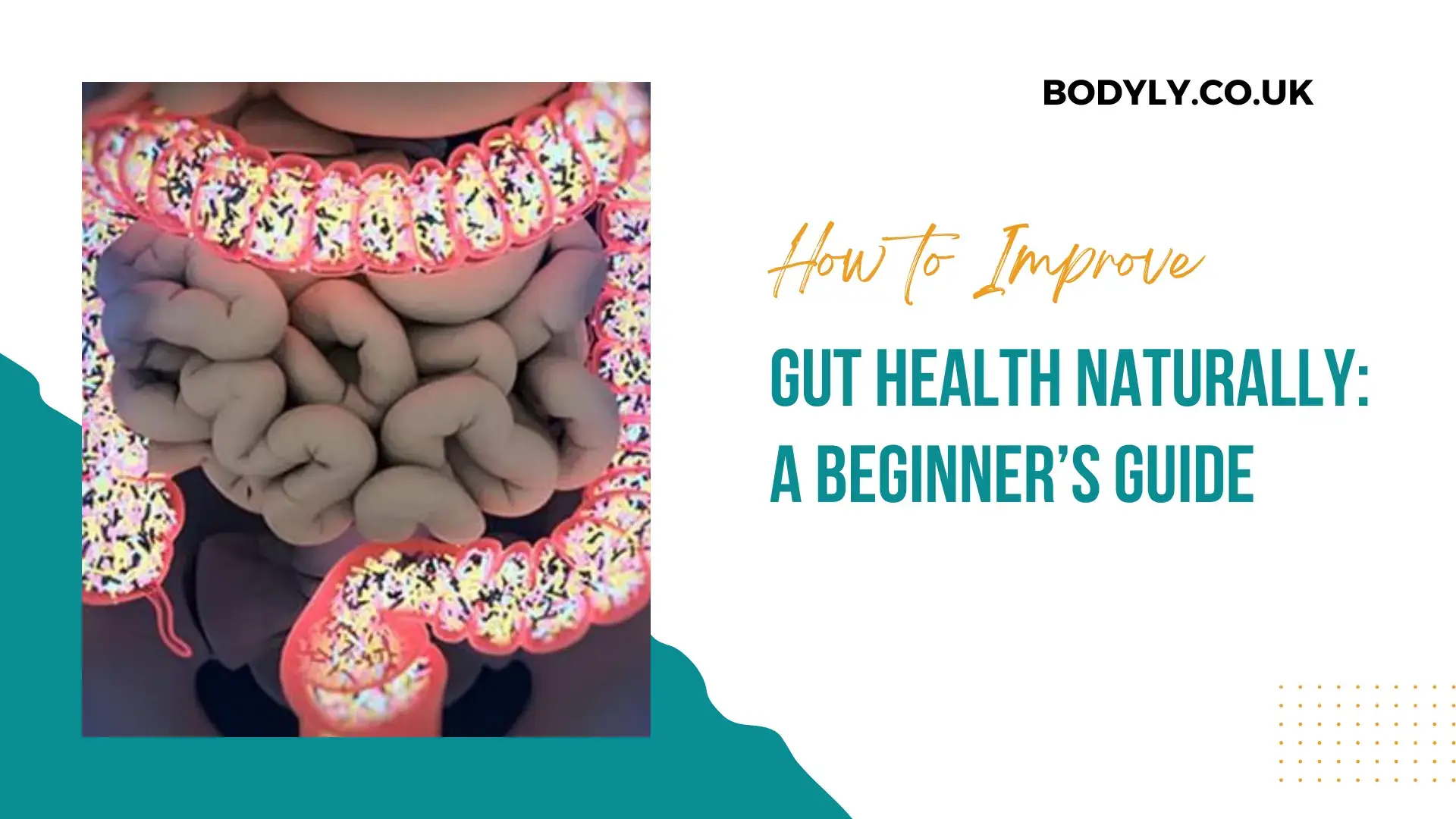 How to Improve Gut Health Naturally: A Beginner's Guide (2024) - Bodyly